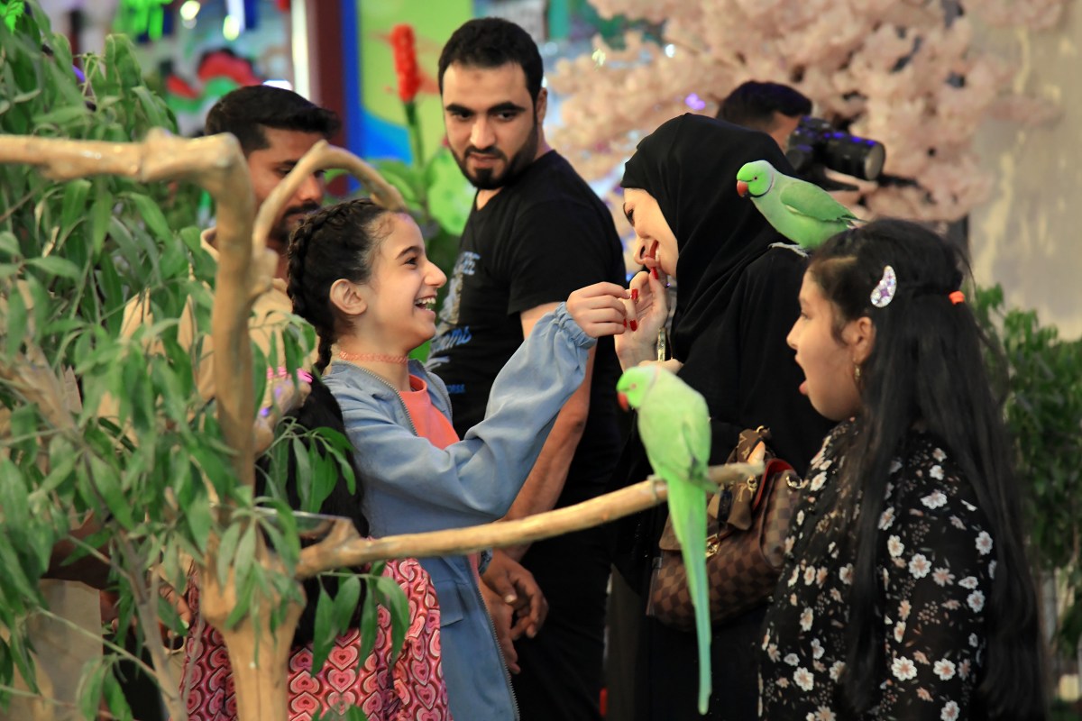 RAK Mall to host interactive pet zoo – Connecting Asia Pacific to the World